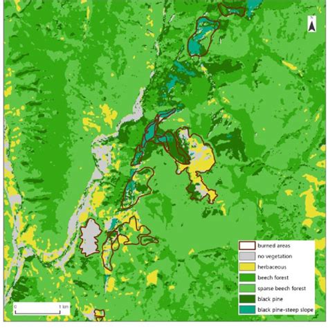 thematic classification of sentinel 2 msi derived data 10 m