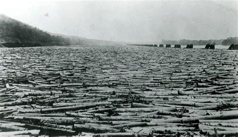 Valley Girl Views The Susquehanna Boom Co Log Boom In Williamsport