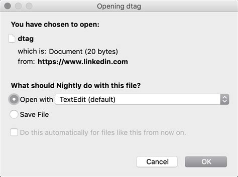 A Download Window Is Opened When Accessing The