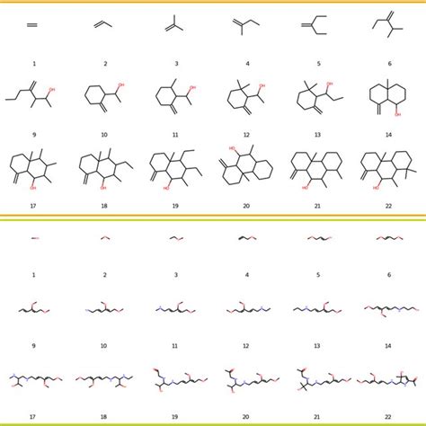 Example Of Two Randomly Selected Molecules With An Equal Number Of