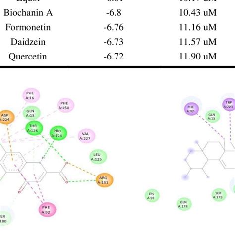 Energy Binding And Inhibition Constant Values Of Molecular Docking For