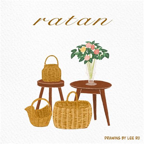 Instagram의 이로lr 일러스트레이터 Illustrator님 Ratan Drawing 라탄 라탄바구니 라탄드로잉 Ratan 실내그림 실내