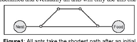 Figure 1 From A Survey Of Ant Based Routing Algorithms For Mobile Ad