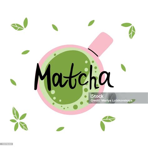 말차 손으로 그린 전통 일본 음료 라떼 탑 뷰와 글자 중국 녹차와 텍스트 트렌디 한 유기농 맛있는 음료 벡터 만화 고립 된