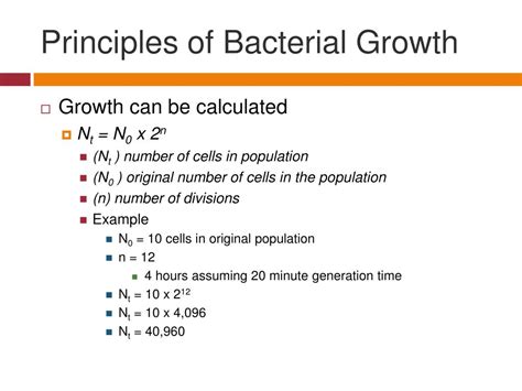 How To Calculate The Diameter Of A Bacterial Cell At Bridget Huizenga Blog