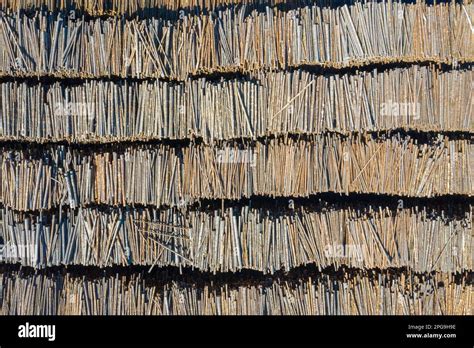 Aerial View Over Stacked Tree Trunks Wood Piles At Paper Mill And Pulp Factory In Värmland