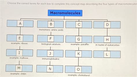 Solved Choose The Correct Terms For Each Box To Complete