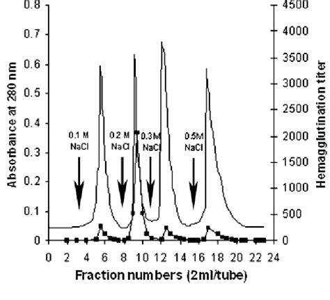 Figure 1 From Molecular And Biological Characterization Of A Mannan Binding Lectin From The