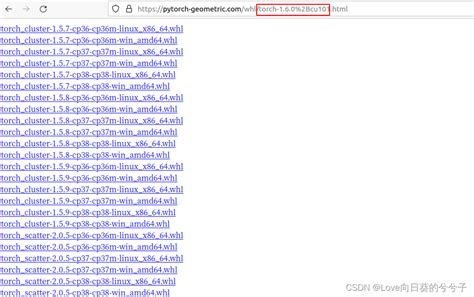 代码运行出现：no module named ‘torch geometric‘ 安装了但仍然显示 no module named