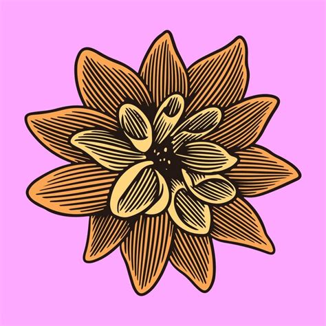 Premium Vector Lily Flower Vector Illustration