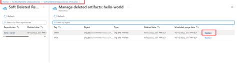 Recover Deleted Artifacts In Azure Container Registry Azure Container Registry Microsoft Learn