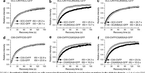 Figure 6 From N And C Terminal Domains Determine Differential