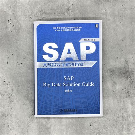 sap大数据完全解决方案陈永杰数据获取数据建模数据服务应用管理方法虚拟逻辑建模 hana bw 4hana实现 hadoop 虎窝淘