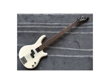 Washburn M-10 Bass - Artists Using It | Equipboard
