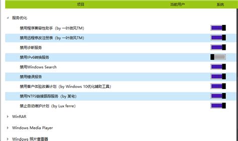 关于windows11的优化内容 进阶者系列 学习者系列文章 csdn博客