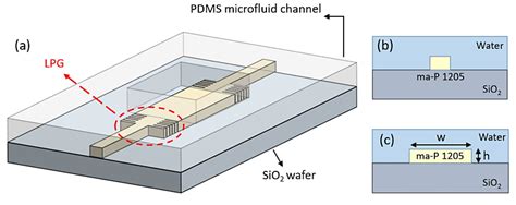A Schematic Of Trimodal Interferometer B Input Single Waveguide Download Scientific