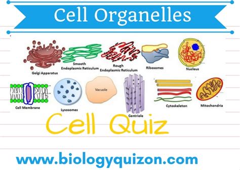Biology Quiz Online