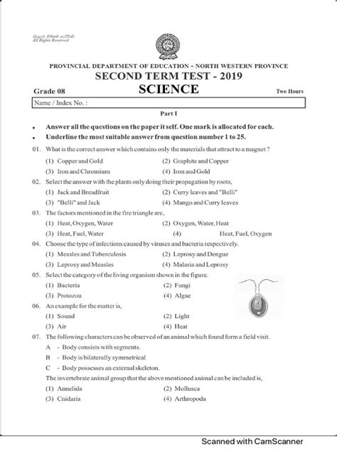 64abdb542bade Grade 8 Revision Paper 2 Pdf