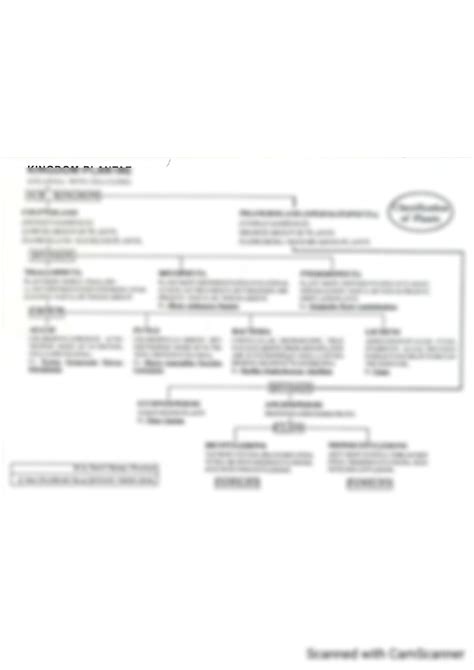 Solution Classification Of Plants Based In Bsc Studypool