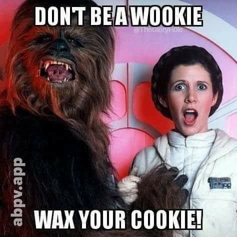 Chewie R RadarRabbit