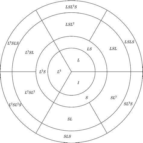 Construction Of The Slit Disk First 18 Cells Download Scientific Diagram