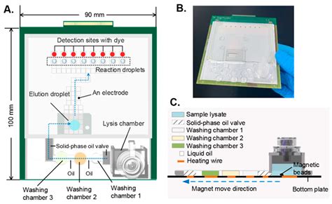 Biosensors Free Full Text An All In One Platform For On Site