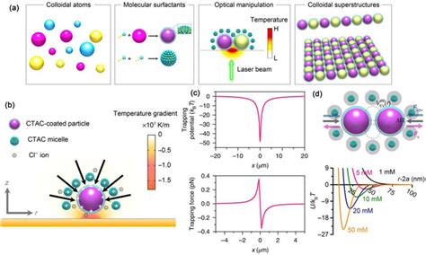A Schematic Showing The Assembly Process Of Colloidal Particles Under
