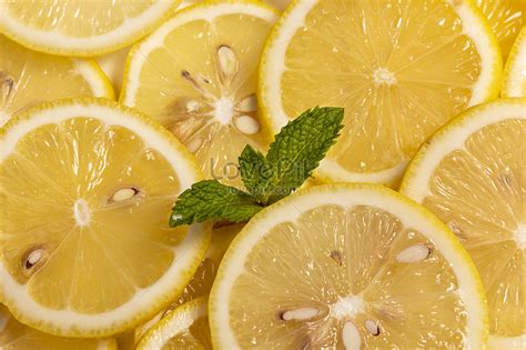 신선한 레몬 슬라이스 사진 무료 다운로드 Lovepik