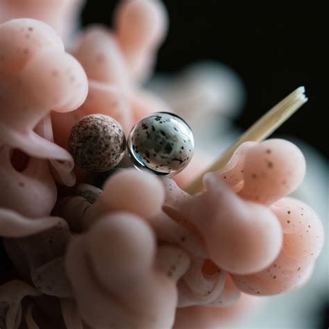 Existential Exhaustion → Term