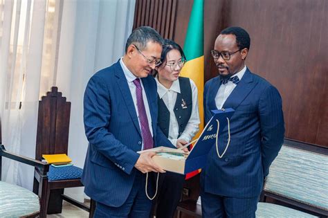 Le Ministre M Modeste Tihounté Kerekou A Reçu En Audience Lhonorable Luo Hongjiang Vice