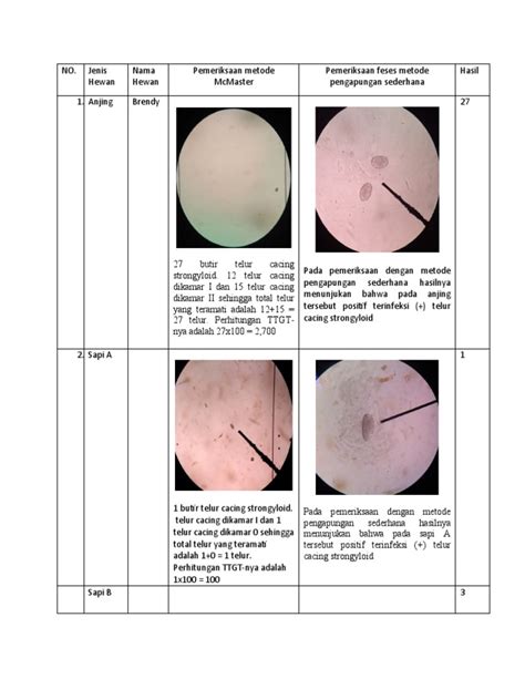 Laporan Pemeriksaan Feses Pdf