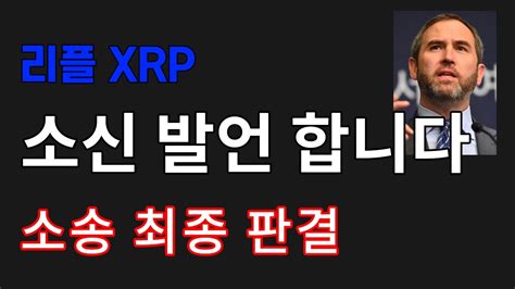 리플 Xrp 소신 발언 합니다 최종 판결 리플 리플코인 리플소송 리플전망 Xrp Xrpnews Sec