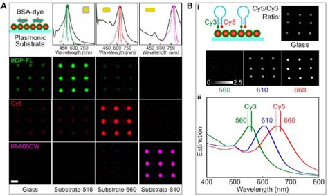 Self Assembled Plasmonic Substrates For Enhanced Fluorescence And Fret Download Scientific