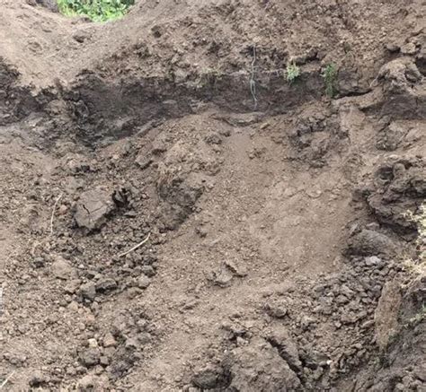 Structural Stability Certification In Hyderabad