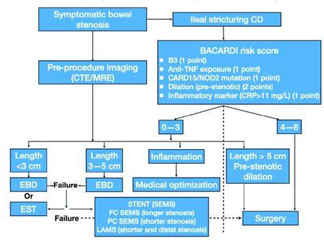 Suggested Algorithm For The Management Of Crohns Disease Cd