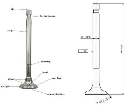 Accuracy Assessment Of Exhaust Valve Geometry Reconstruction A