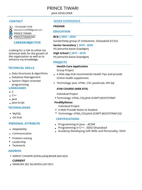 Prince Tiwari Cv Pdf Business Computers