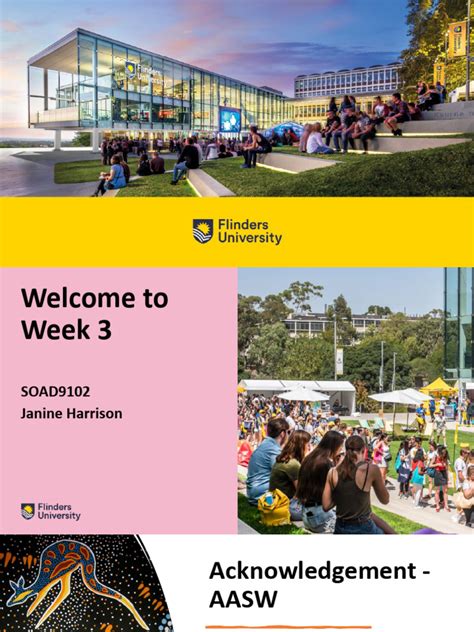 Week 3 Lecture Soad9102 Identity Pdf Identity Social Science Intersectionality