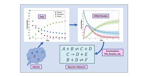 How To Identify Stoichiometric Models For Complex Reactions Polymodels Hub Posted On The Topic