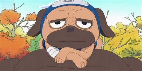 10 Best Anime Familiars Ranked