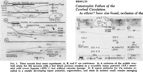 Figure 1 From The Cerebral Collateral Circulation Semantic Scholar