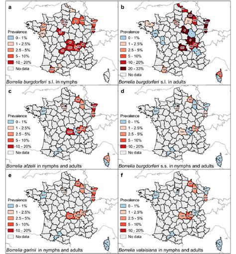 Prevalence Maps Of Borrelia Burgdorferi Sensu Lato And B Afzelii B