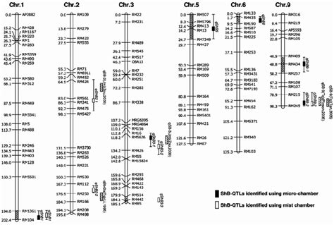Chromosomal Locations Of The Rice Sheath Blight Quantitative Trait Loci