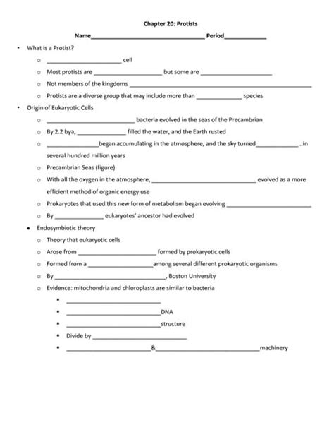 Chapter 20 Protist Notes Docx