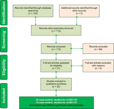flowchart of database searching and record screening process download