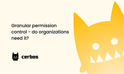 Granular Permission Control Do Organizations Need It Cerbos