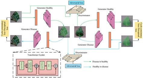 Agronomy Free Full Text Using A Hybrid Convolutional Neural Network With A Transformer Model
