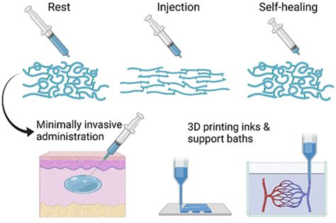 Self Healing Injectable Hydrogels For Tissue Regeneration Chemical Reviews
