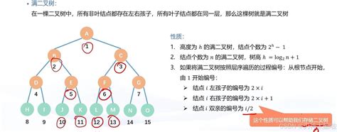 二叉树（数据结构） Csdn博客