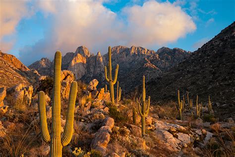 The Santa Catalinas Tucsons Nearby Wilderness Arizona Highways